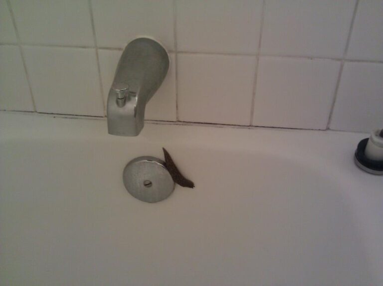 Where Do Bathroom Slugs Come From? – Not Your College Bathroom